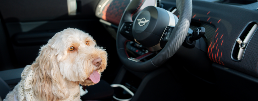 April MINI Moments at Bowker MINI - Bowker MINI